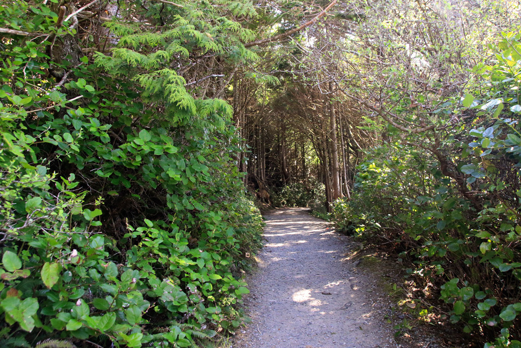 Wild Pacific Trail - Lighthouse Loop in Pacific Rim National Park ...